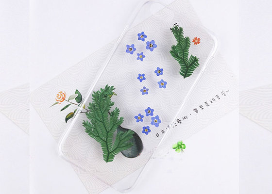 Natural Plants Mini Dried Flowers , Blue Pressed Flowers For DIY Cell Phone Case