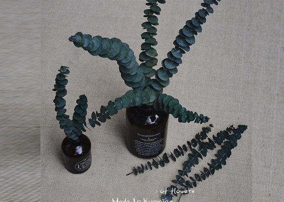 Multi Color Dried Eucalyptus Arrangements For Home Decoration Photography Props