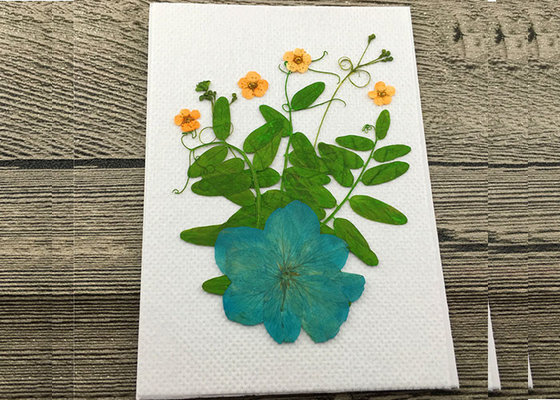 Flower / Leaf Mixed Pressed Flower Bouquet For Christmas Card Decoration