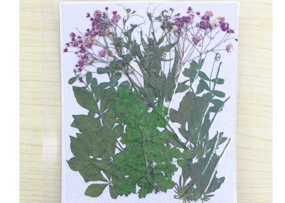 Fashion Pressed Flower Bouquet Home Ornaments For Manual Activity Material