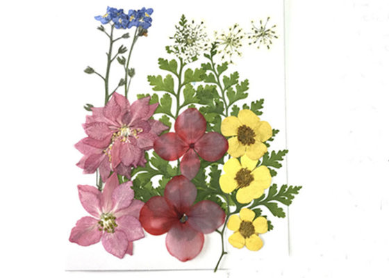 Raw Material Pressed Flower Bouquet Candle Ornaments For DIY Accessories