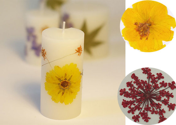 Aroma Decorative Pressed Flower Gifts Material Green Plant Epoxy Embossed Specimens