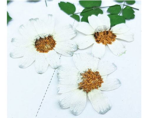 Fashion Dried Flower Art 3D Decorative Painting For Dinning Room Display
