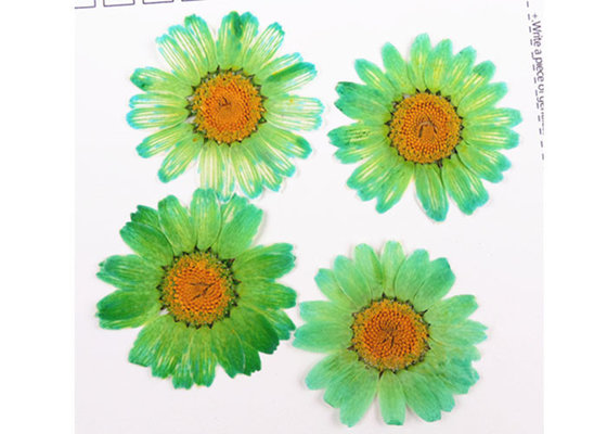 Dye Absorption Chrysanthemum Dried Flower Bouquet For DIY Parlor Decoration
