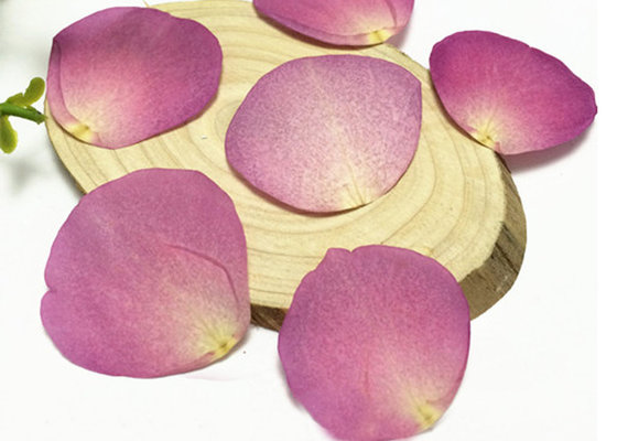 Epoxy DIY Dried Pressed Flowers Rose Petal For Iphone / Cell Phone Decoration Fodder