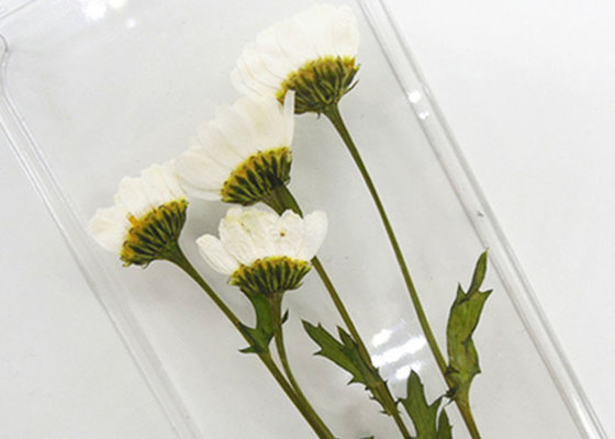 Daisy Miniature Dried Flower Arrangements Handmade Crafts Fit Festival