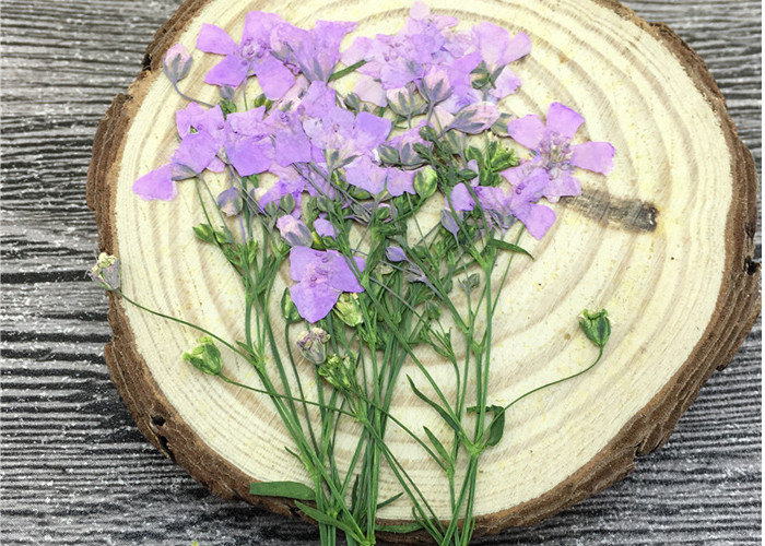 Decorative Accessories Small Dried Flowers For Resin Epoxy Craft Bookmark