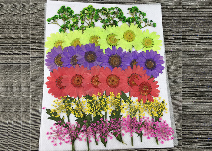 Mixed Package Pressed Flower Bouquet Plant Material For Candle Decoration