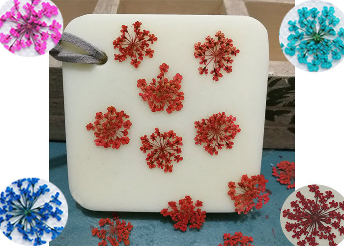 Lace Pressed Flower Gifts True Plants Color Optional For Aroma Wax Home Decoration