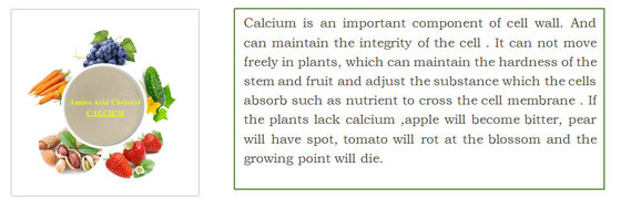 DOWCROP    HOT   SALE  100%    WATER   SOLUBLE    AMINO   ACID   CHELATED   CALCIUM     MILK    YELLOW     POWDER supplier
