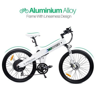 Strong 500W Electric Power Assist Mountain Bike With Aluminum Alloy Frame