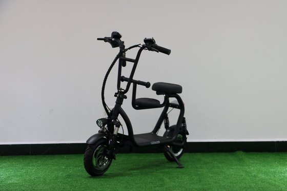 10 Inch Lightweight Folding Bicycle Scooter Lithium Battery F/R Led Light Steel Frame