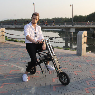 CE Light Weight Folding Electric Mountain Bike , Foldable Electric Bicycle Small Size