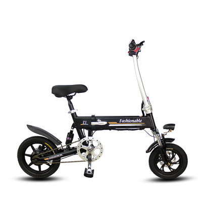 14 Inches 250w Folding Electric Bike Portable Adult Lithium Battery 7.8Ah Custom