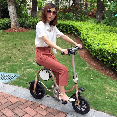 Aluminum Material Folding Electric Mountain Bike LED Display Lithium Battery