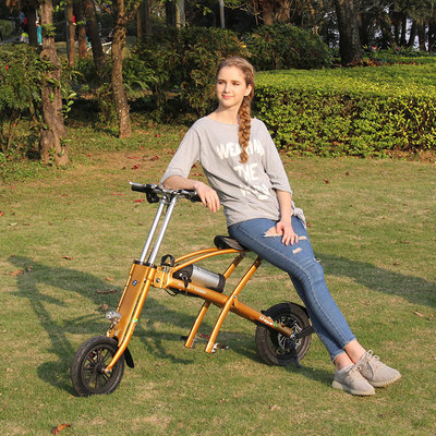 Exclusive Design Foldable Electric Bike , 12 Inch 250W Fold Up Bicycle 40km/h Peed