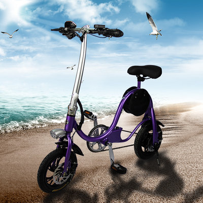 12 Inchs 36V Adult Folding Electric Bike Brushless Motor With Power Assisted System