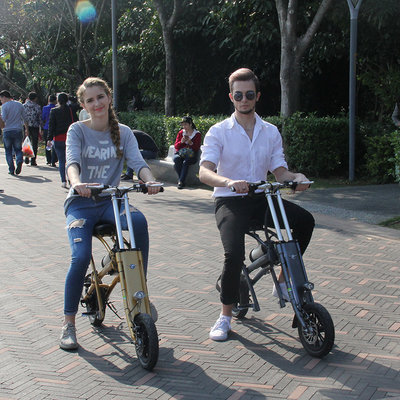 250W Folding Electric Bike / Bicycle 12 Inch 36V With CE / EN15194 Certification