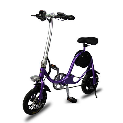 Folding Smart Electric Bike 12 Inch 36V 250 Watt Removable Lithium Battery
