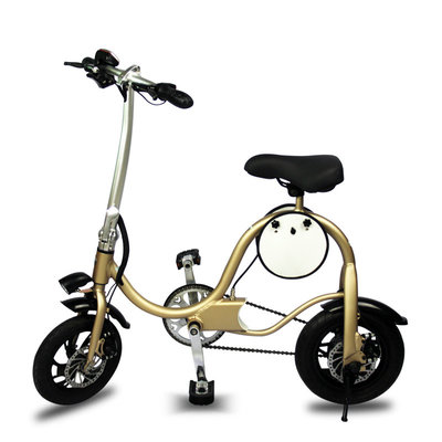 Lithium Battery Lightweight Electric Folding Bike Aluminium Alloy With USB Port