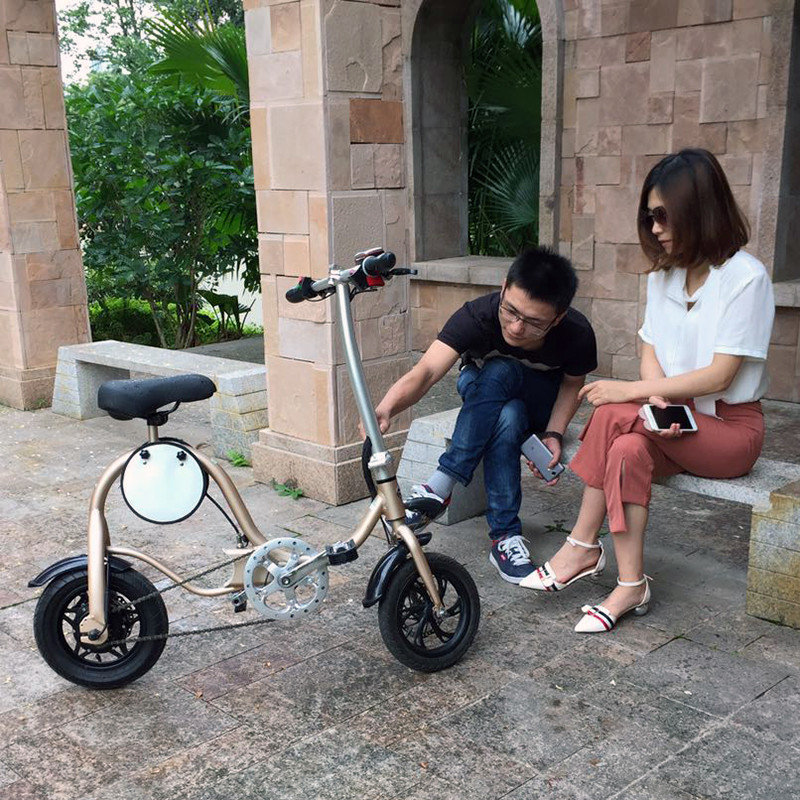Aluminum Material Folding Electric Mountain Bike LED Display Lithium Battery