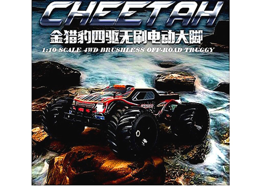 quality Brushless Electric RC Car factory