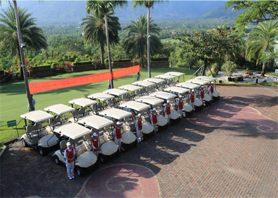 Colorful 48V 3 KW Club 2 Seater Golf Carts , Battery Operated Electric Golf Buggy