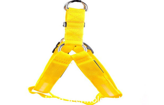Nylon Fabric Flashing Dog Led Pet Collar Cat Lighted Leashes
