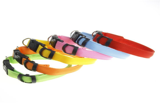 Creative Orange Blue LED Pet Collar For Safety / LED Collar Light For Dogs , Cat