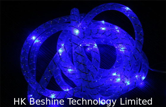 Party LED Decorative String Lights With PVC Tube 100 PCS LEDs , 10m , Adapter