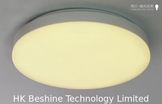 12 W 16 W 20 W 25 W LED Round Ceiling Light For Theatre  / Grocery