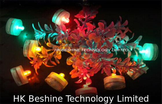 Submersible LED lighting Powered By 2 x CR2032 Replaceable Button Cell
