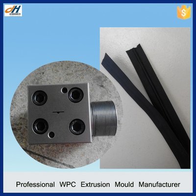 PVC Window and Door Seal Strip Extrusion Mould