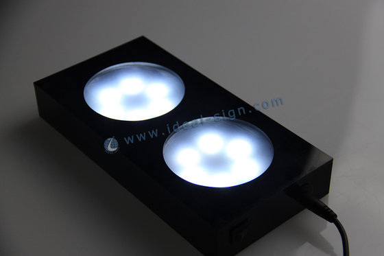 LED Acrylic Liquor Bottle Display Standing / Glorifier PS Injection Plastic Case