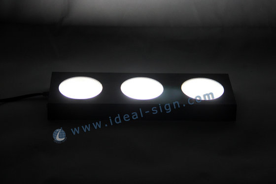 LED Acrylic Liquor Bottle Display Standing / Glorifier PS Injection Plastic Case