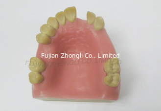 China dental Implant model for drilling Practice supplier