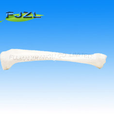 China human plastic skeleton tibia model, right supplier