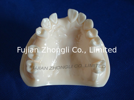 dental model for partial denture restorative supplier
