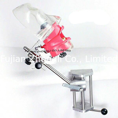 Cheap Dental Dummy Head for Student or Clinic supplier