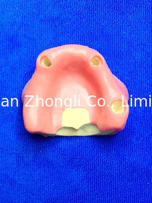 Sinus Lift Teaching Model supplier