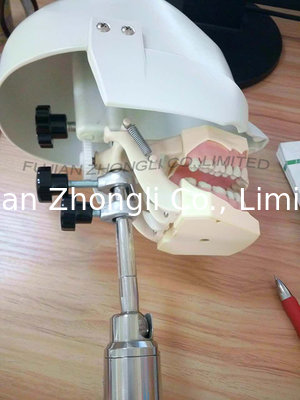Dental Techniques  Auxiliary Training Manikin Adult &amp; Bench Or Chair Mount supplier