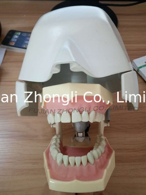 Dental Simulator Manikin Phantom Head Chair Mount Typodont Model supplier