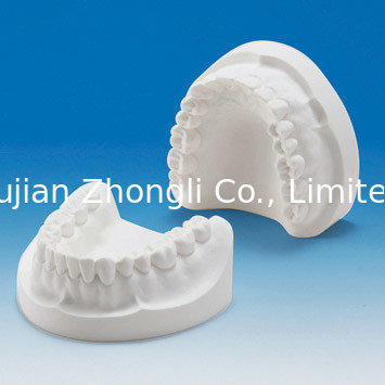 Cheap Durable Dental Plaster Model Mold for Dentist supplier