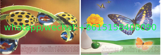 LC-1050XH Snow snowflake effect UV Snow uv illuminating solidifying machine cigarette and wine packing case