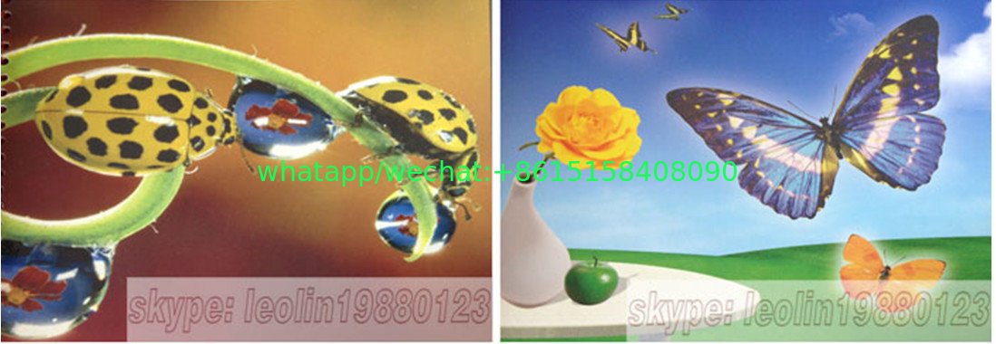 LC-1050XH Snow snowflake effect UV Snow uv illuminating solidifying machine cigarette and wine packing case