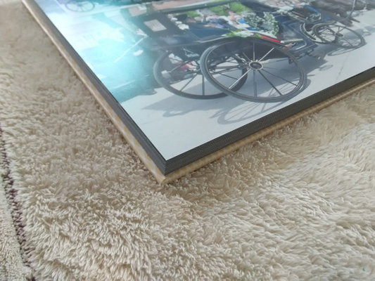 Memorias privadas de la familia que se casan el álbum de foto 10 x 10 con las páginas internas de 0.5m m