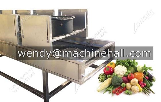 high quality Fruit Vegetable Air Drying Machine|Cooling Machine manufacturer