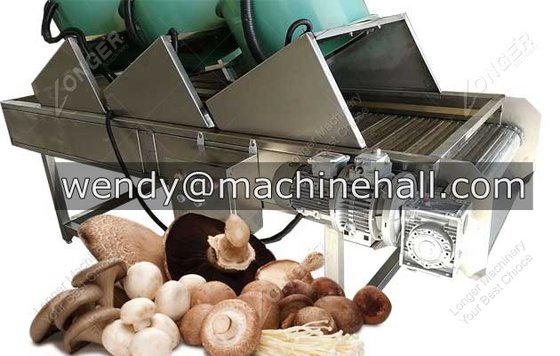 Low price Air Dryer Machine For Fruit and Vegetable stainless steel SUS304