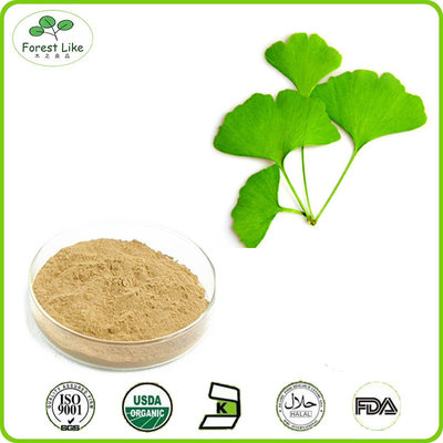 China High Quality Ginkgo Leaf Extract / Ginkgo Leaf Powder supplier