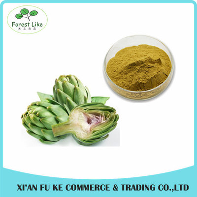 Plant Extract 100% Natural Artichoke Extract / Cynarin 2.5% 5% supplier